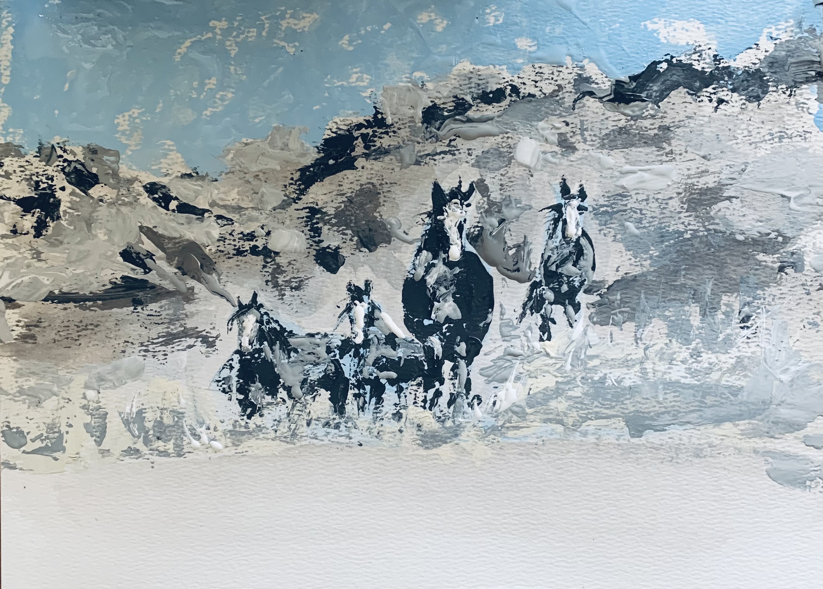 Dakota’s Secret • Fokal